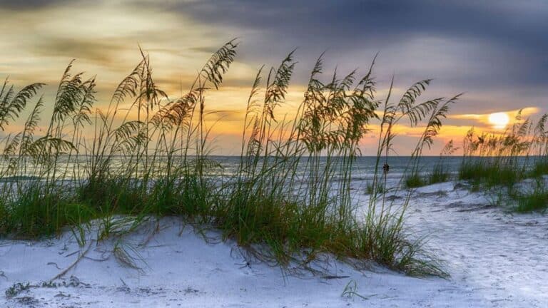 Hurricane Hanks Grill And Bar – Anna Maria island Restaurant